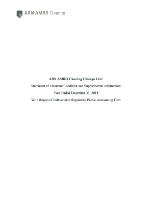 Fillable Online ABN AMRO Clearing Chicago LLC Statement of Financial ...