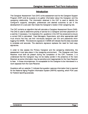 Fillable Online Caregiver Assessment Tool Form Instructions Fax Email ...