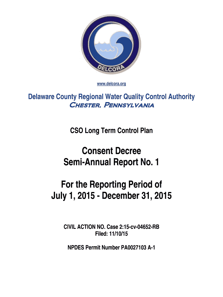 Fillable Online DELCORA Semi annual report .doc Fax Email Print - pdfFiller