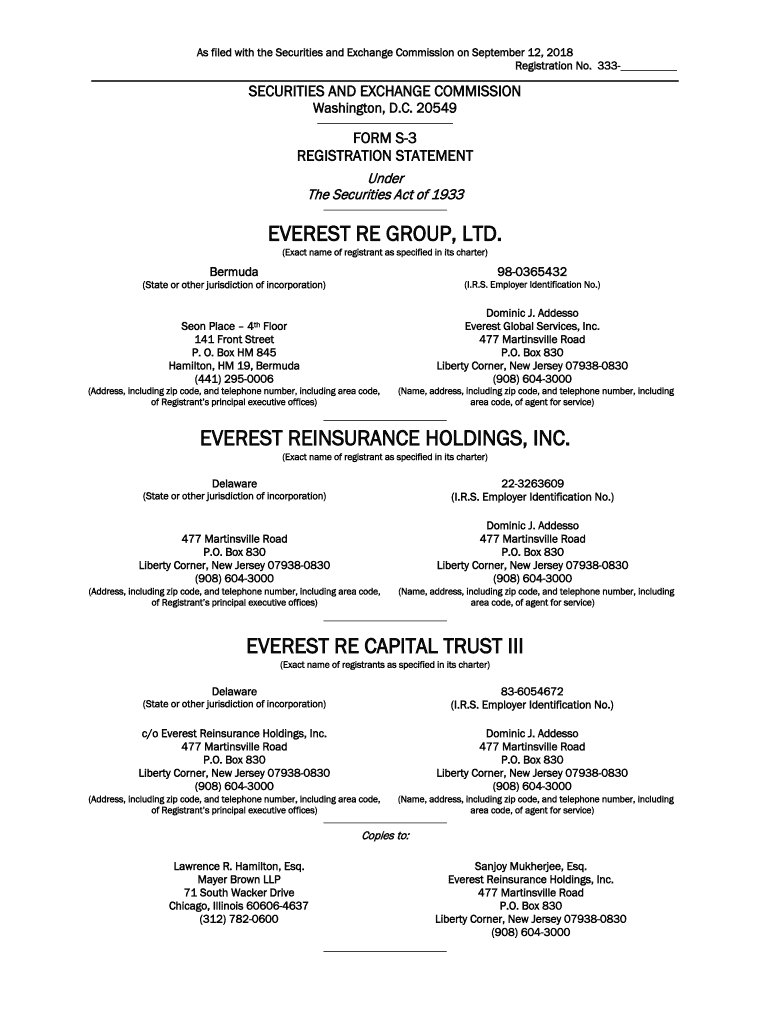 Fillable Online everest re group, ltd. everest reinsurance holdings ...