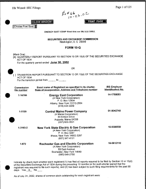 Fillable Online 10k Wizard: SEC Filings Fax Email Print - pdfFiller