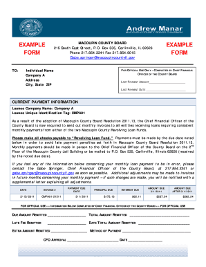 Fillable Online EXAMPLE FORM EXAMPLE FORM Fax Email Print - pdfFiller