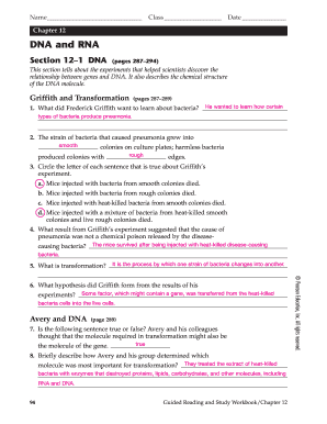 Fillable Online Chapter 12DNA and RNA, TE Fax Email Print - pdfFiller