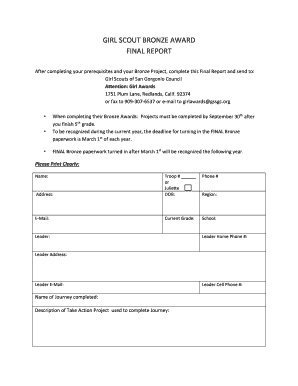 Fillable Online Bronze Award Final Report. Bronze Award Final Report ...