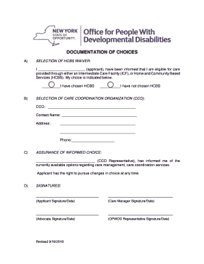 Fillable Online opwdd ny SELECTION OF HCBS WAIVER: Fax Email Print ...
