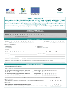 Remplissable En Ligne FORMULAIRE DE DEMANDE DE LA DOTATION JEUNES ...