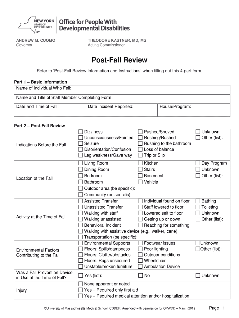 Post Fall Assessment Template - Fill Online, Printable, Fillable, Blank ...