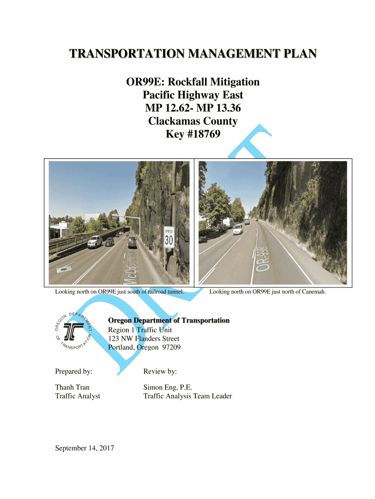 Fillable Online ODOT Three levels of TMPs - Sample Transportation ...