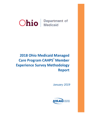 Fillable Online 2018 Ohio Medicaid Managed Care Program Methodology Report. Section Name Fax ...