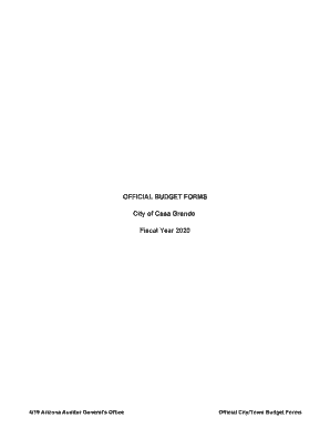 Fillable Online Official City-Town Budget Forms v2 Fax Email Print ...