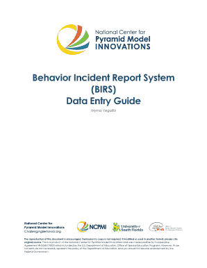 Fillable Online Behavior Incident Report System Data Entry Guide Fax ...