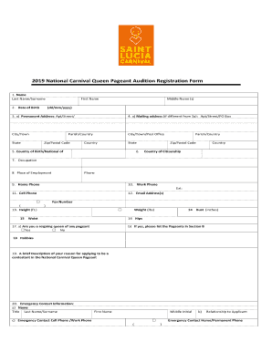Fillable Online 2019 National Carnival Queen Pageant Audition ...