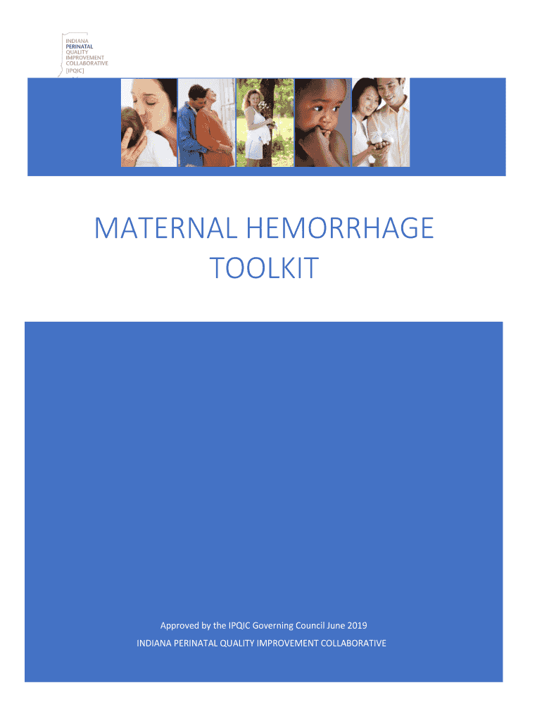 Fillable Online Maternal hemorrhage toolkit Fax Email Print - pdfFiller