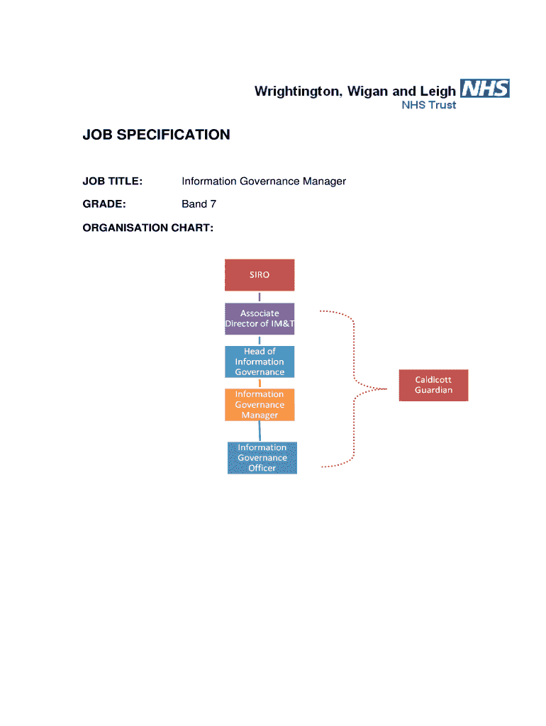 Fillable Online Sample Job Description: Chief Information Governance Officer Fax Email Print ...