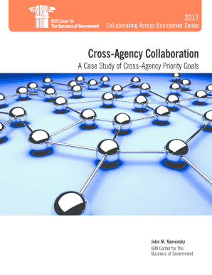 Fillable Online Cross-Agency Collaboration: A Case Study of Cross ...