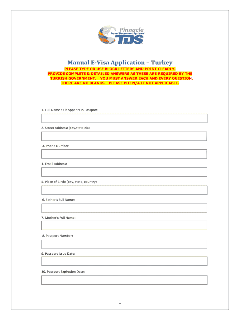 Turkey E-Visa Application Form - Blank Fillable Template | Fill Out ...
