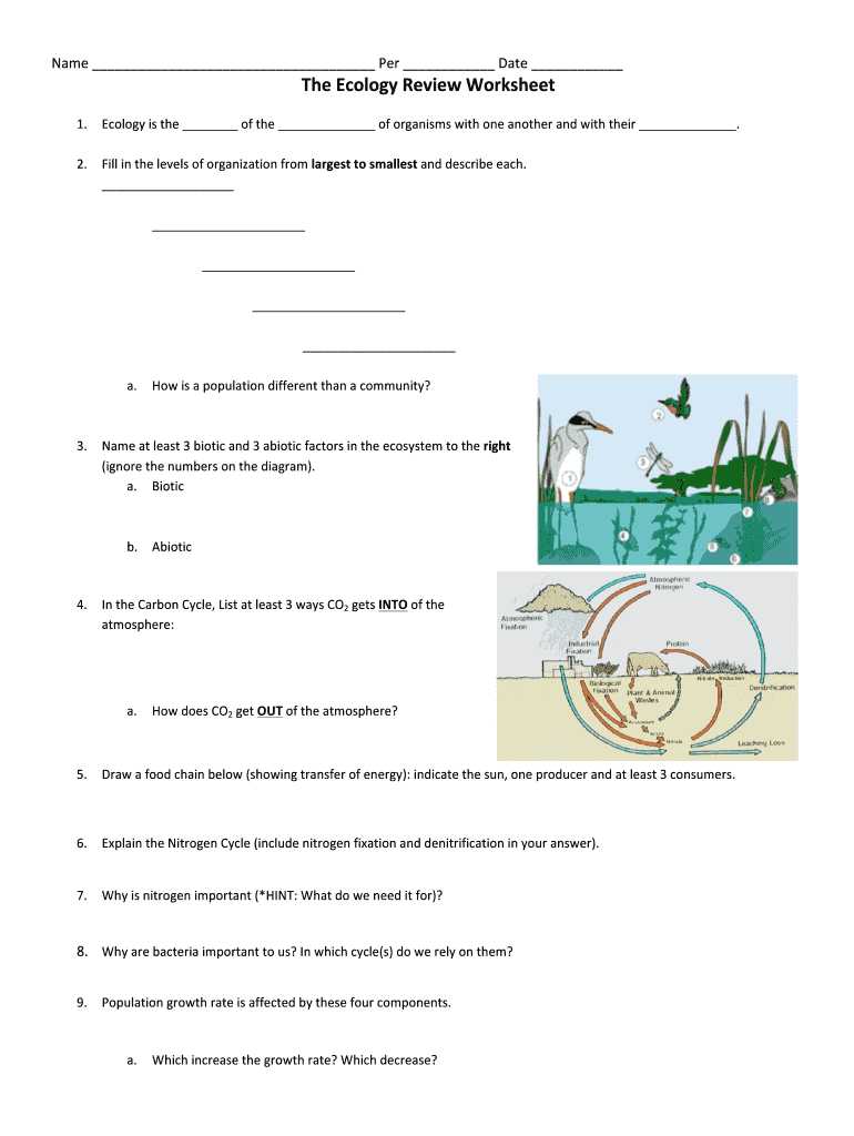 Fillable Online Ecology Review Worksheet 1 (3).doc - NameValentina ... Fax Email Print - pdfFiller