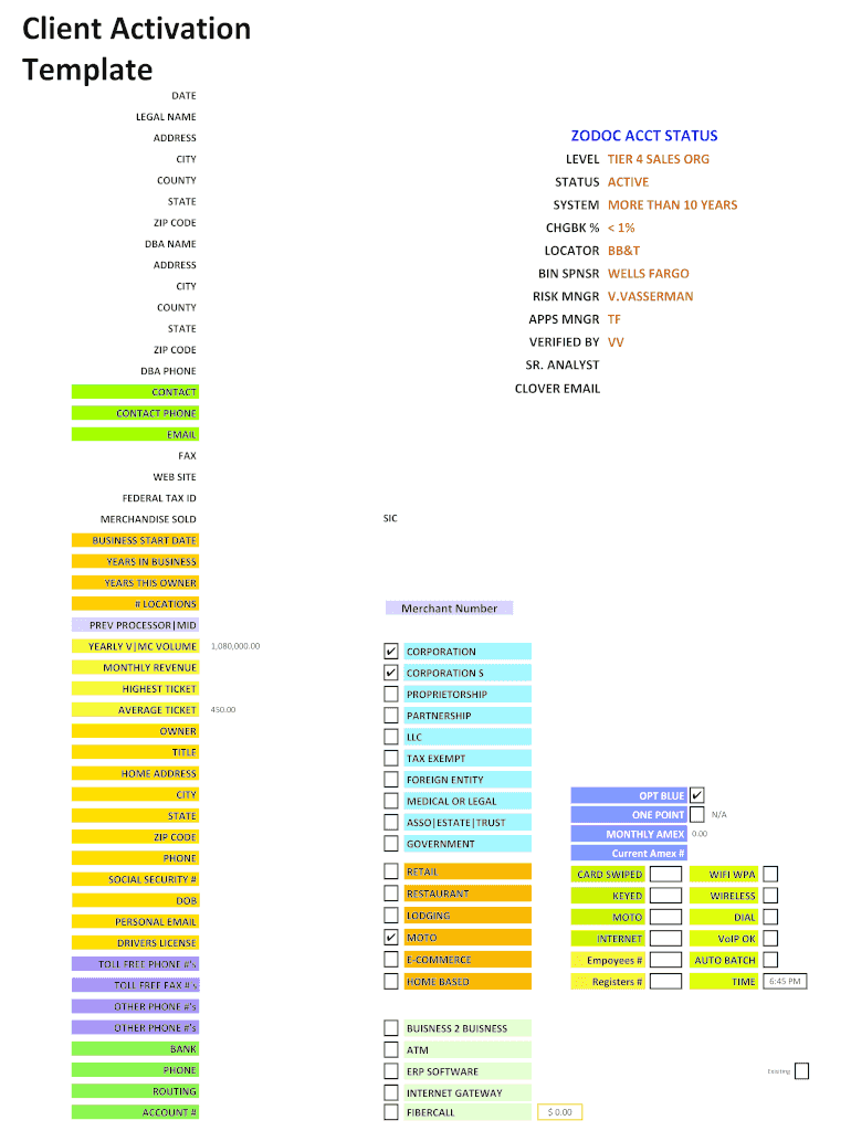 Fillable Online Client Activation Template - National Processing ...