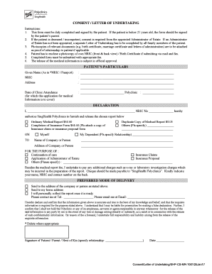 Fillable Online Fillable Online Consent or Letter of Undertaking Form ...