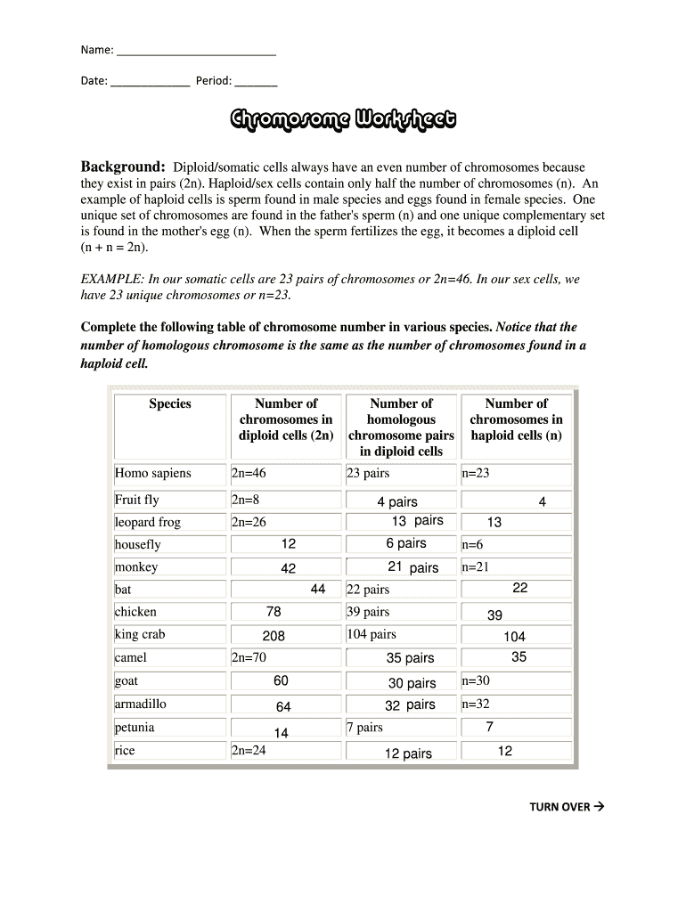 Chromosome Worksheet Answer Key Pdf - Fill Online, Printable, Fillable ...