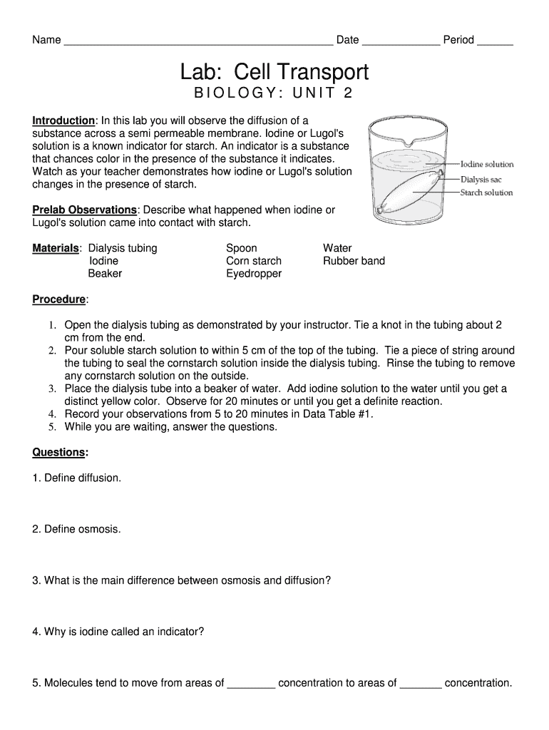 Fillable Online Cell membrane and transport quiz answer key ...