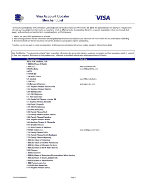 Fillable Online Visa Account Updater and Real Time Visa Account Updater ...