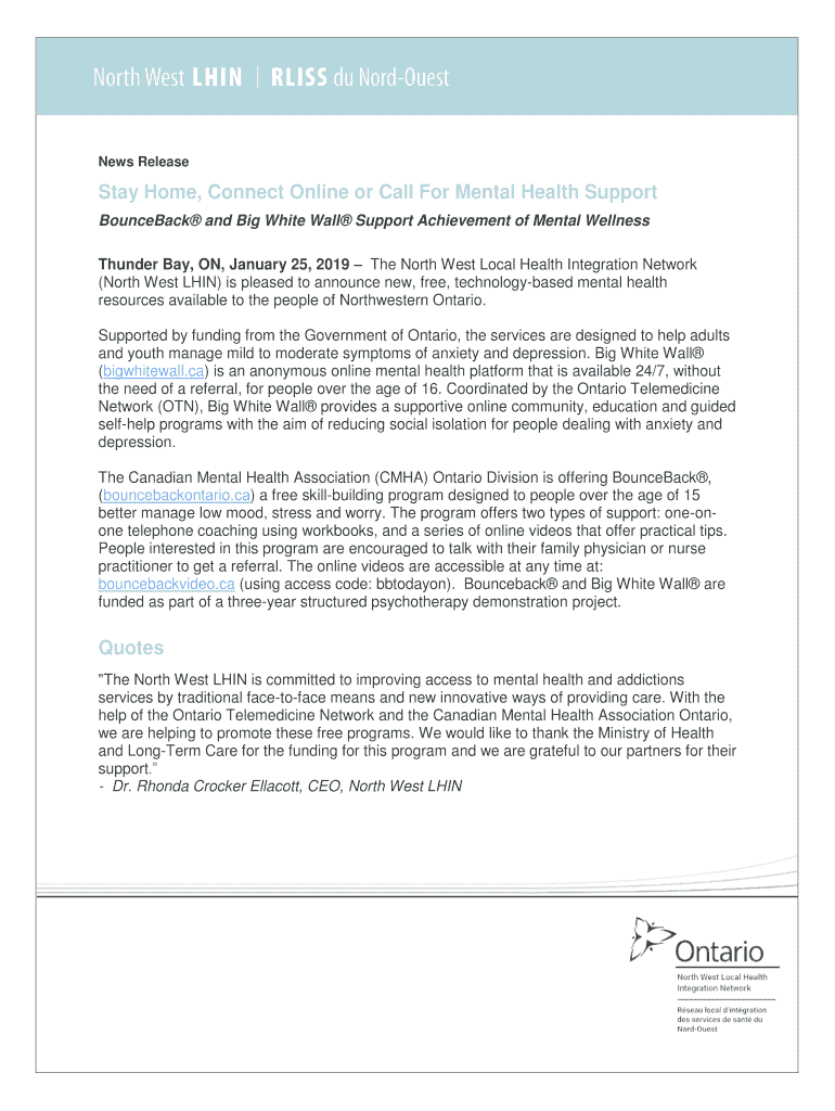 Fillable Online South West LHIN Mental Health and Addictions Capacity ...