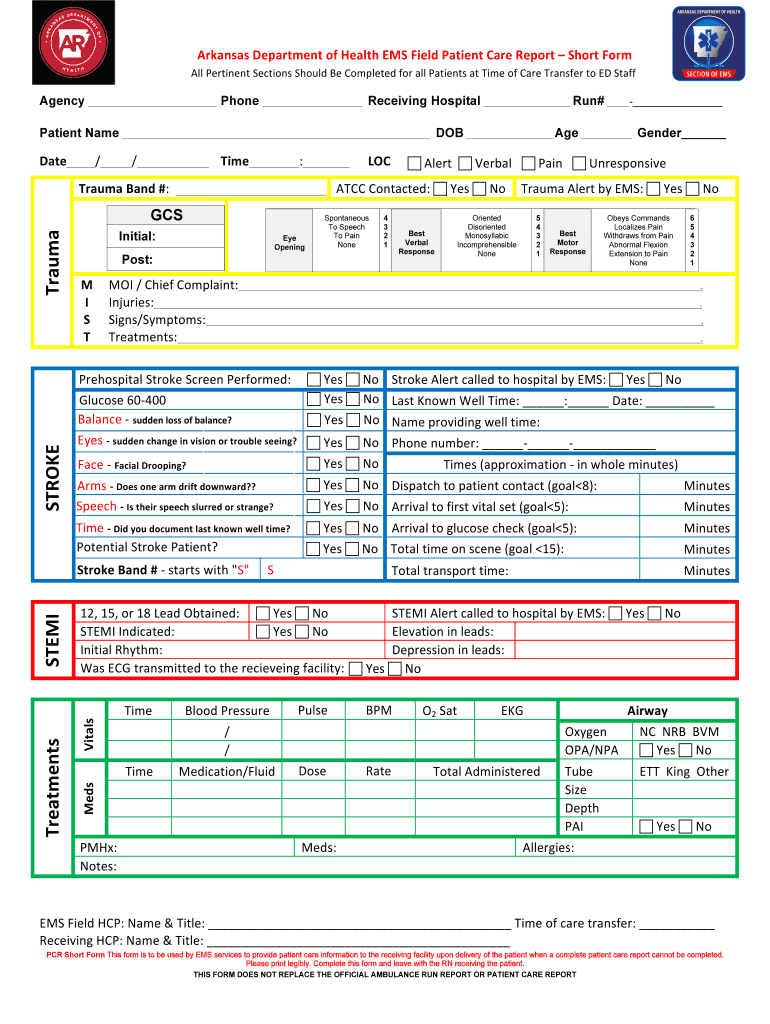 Fillable Online EMS Patient Care Worksheet - Wisconsin Department of ...