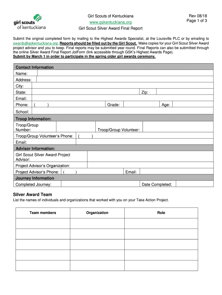 Fillable Online Silver Award Final Report. Individual girl's Silver ...