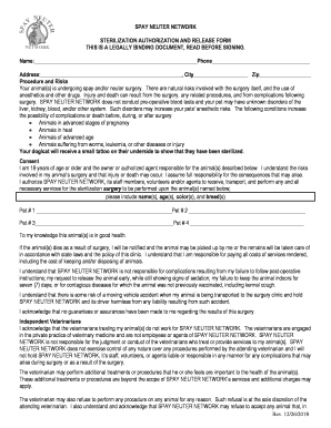 Fillable Online SNN Surgery Authorization Form Fax Email Print - pdfFiller