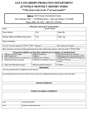 Slo Probation Monthly Report - Fill Online, Printable, Fillable, Blank ...