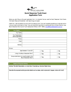 Fillable Online Quick Response Youth Grant Application Form Fax Email ...
