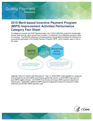 Fillable Online 2019 Merit-based Incentive Payment Program (MIPS ...