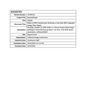Fillable Online Docket Number: 19-IEPR-01 Fax Email Print - pdfFiller