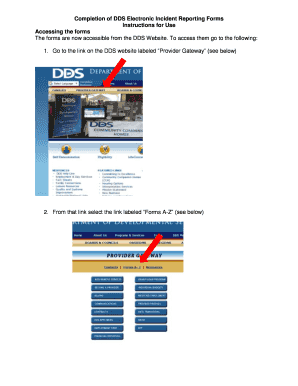 Fillable Online Completion of DDS Electronic Incident Reporting Forms ...