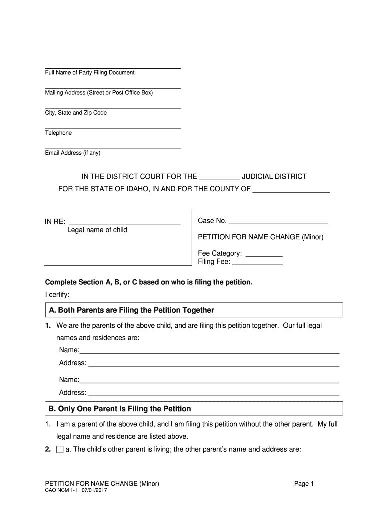Idaho - Petition for Name Change (Minor): Fill out & sign online | DocHub