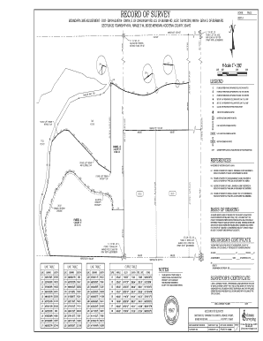 Fillable Online ROS - SHEET 1 Fax Email Print - pdfFiller