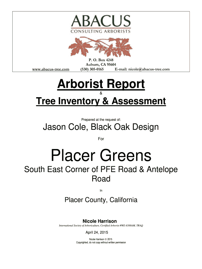 Fillable Online ABACUS consulting report cover Placer Greens.doc2.pdf ...