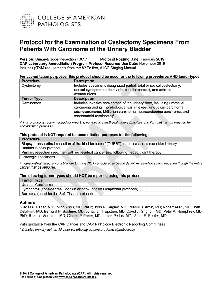 Fillable Online Protocol for the Examination of Cystectomy Specimens ...