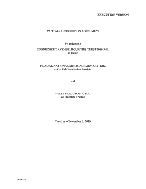 Fillable Online CAS 2019-R07 Capital Contribution Agreement. CAS 2019 ...