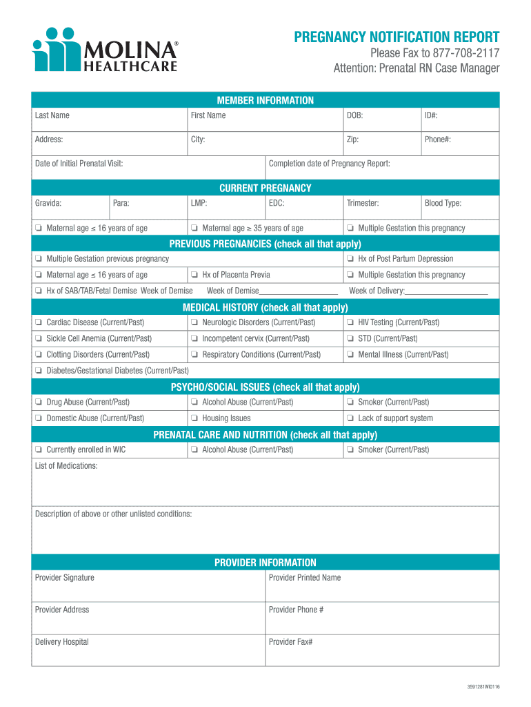 Fillable Online Prenatal Visit - Initial and Follow Up Visit after ...