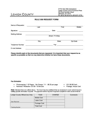 Fillable Online lccpa Lehigh County Public Access Request Form (PDF ...