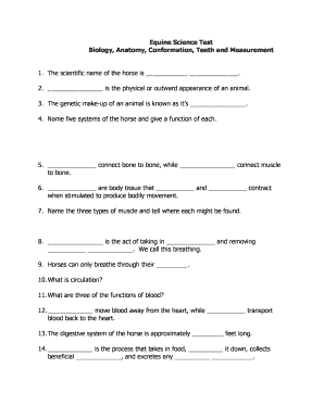 Equine Science Test Biology Anatomy Conformation Teeth And - Ponyclub ...