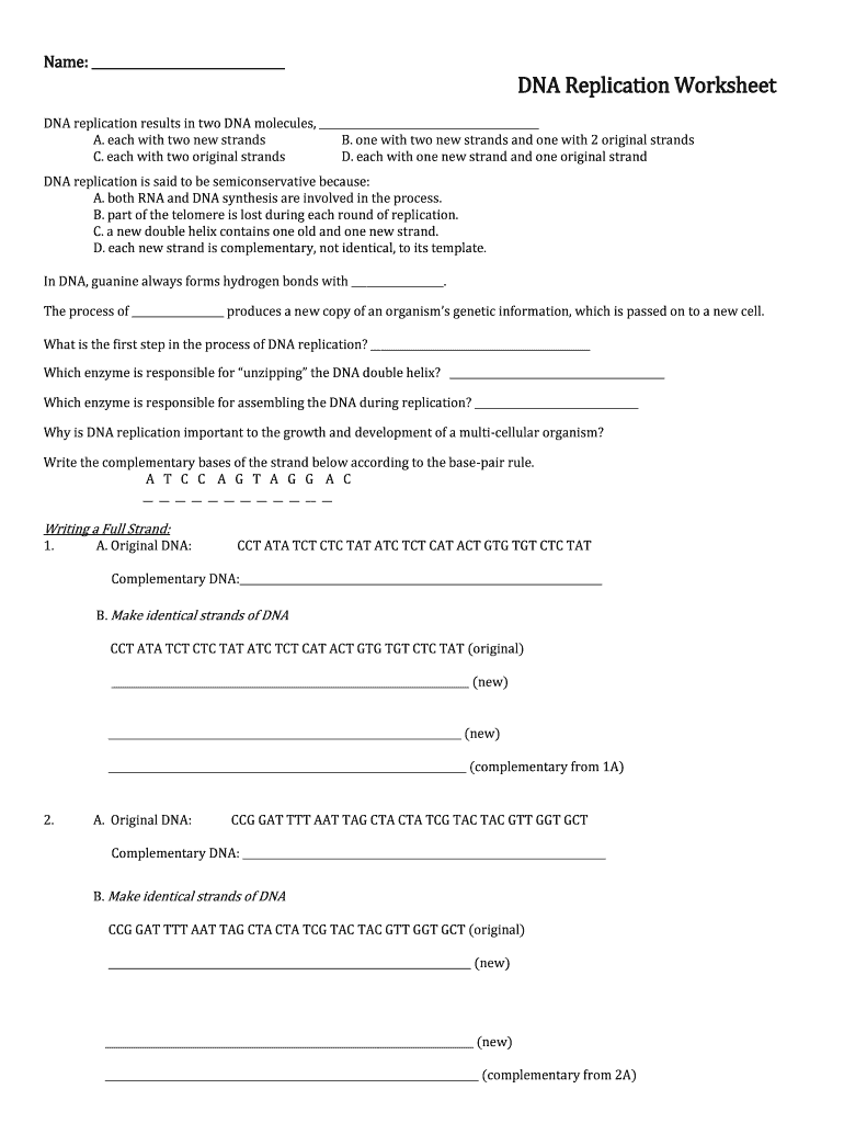 DNA Replication Worksheet - Blank Fillable Template | Fill Out, Print ...