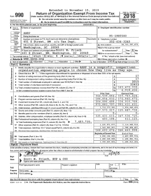 Fillable Online 2018 IRS Form 990 - First Book Fax Email Print - pdfFiller