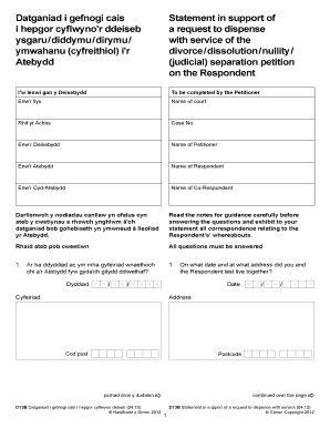 Form D13b - Fill Online, Printable, Fillable, Blank | pdfFiller