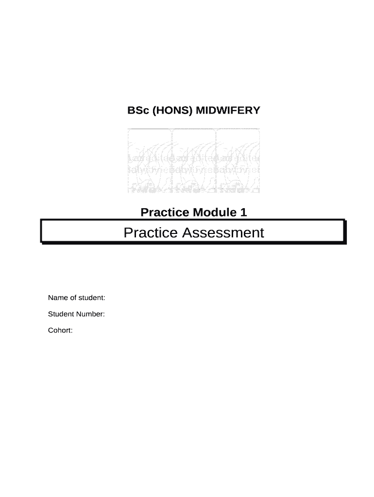 Midwifery practice module 1 - practice assessment document Doc Template ...