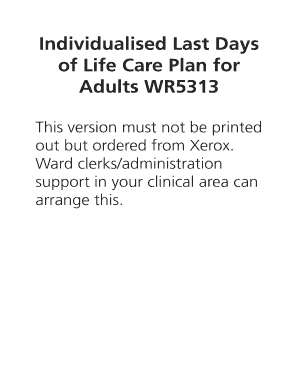 Fillable Online Individualised Last Days of Life Care Plan For Adults ...