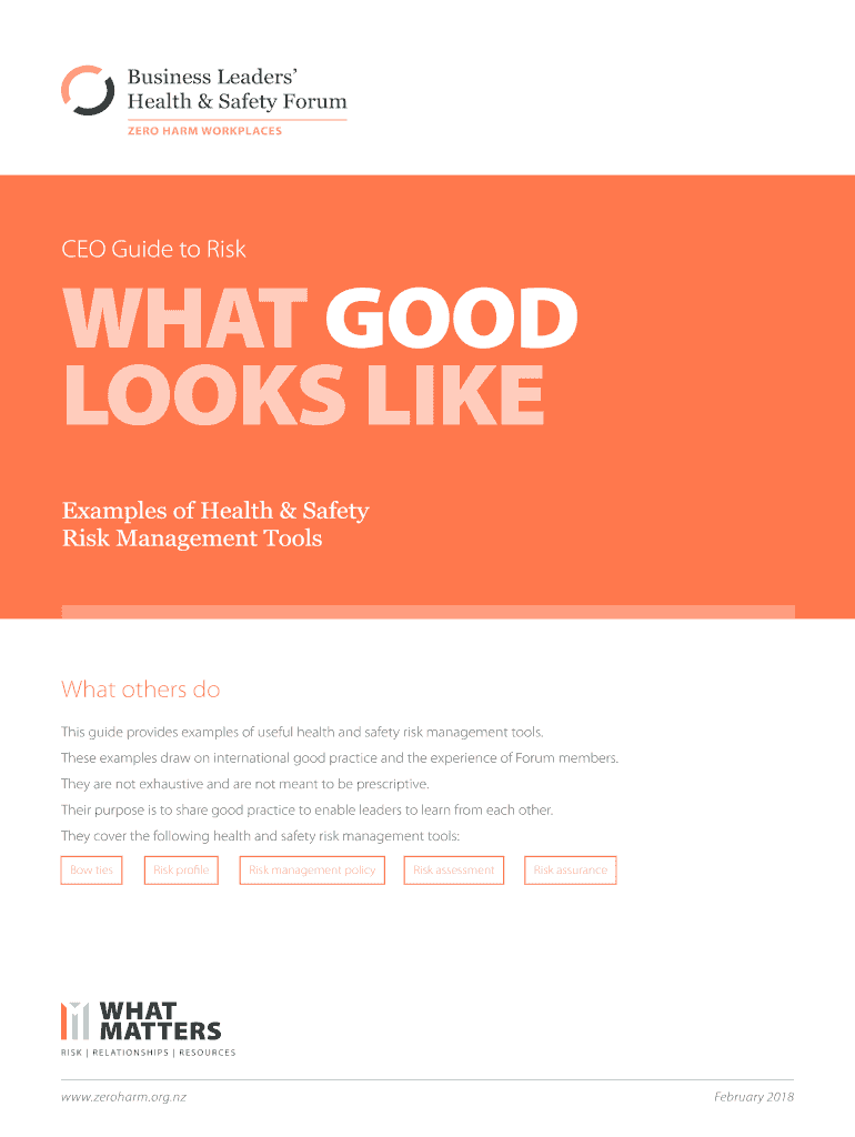 Fillable Online Download The Examples Of Good Risk Management Practices