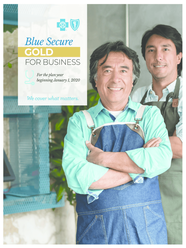 Fillable Online Blue Choice Platinum PPO Plan (Business) Complete.docx ...